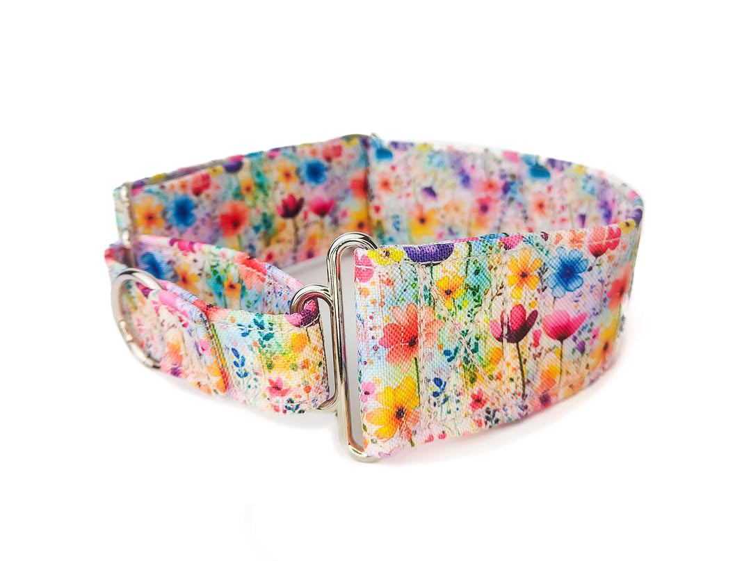 Wildflower Meadow Collar – Indi-Dog